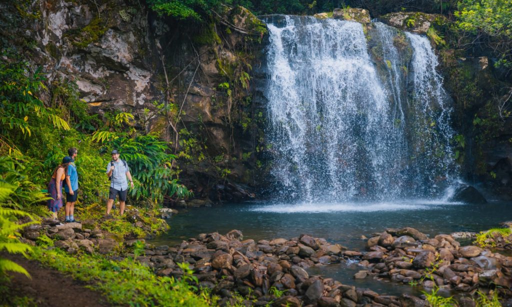 Hawaii Forest & Trail | Volcanoes, Waterfalls, Maunakea, Birdwatching
