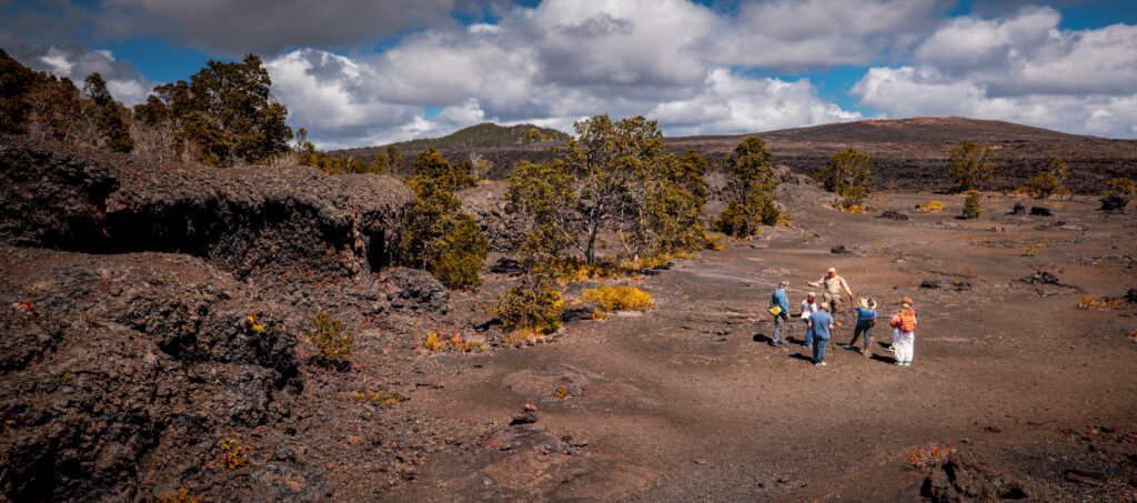 Volcano Direct Hiking Adventure | Hawaii Forest & Trail